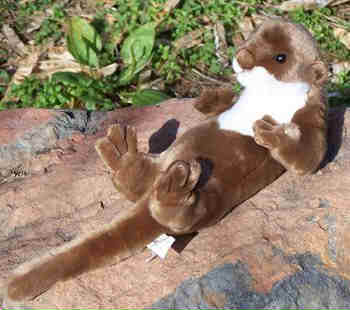 Feast your Eyes on these Darling Stuffed Sea Otters