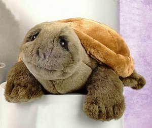 The most Fascinating Stuffed Turtles you will ever lay your eyes on!