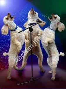 Pictures of the Cutest Ever Dogs and Puppies