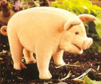 Stuffed Pigs that are the talk of the Farm