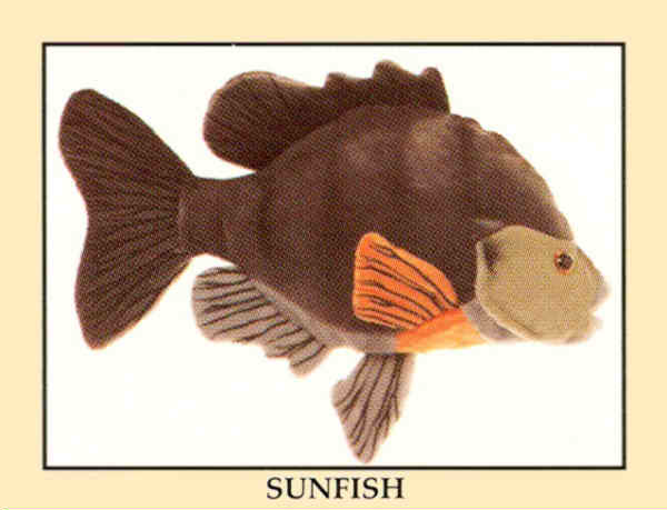 Sunfish toy Fish that are Ready to get your Party Started